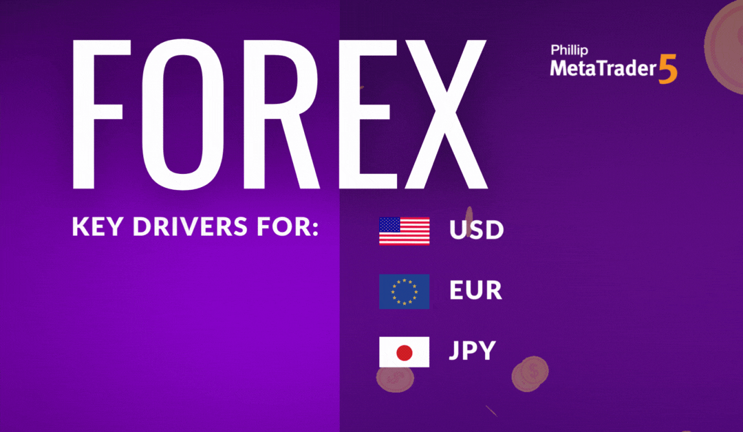 Trading Forex? Key Drivers To Look Out For This August - Phillip Nova ...